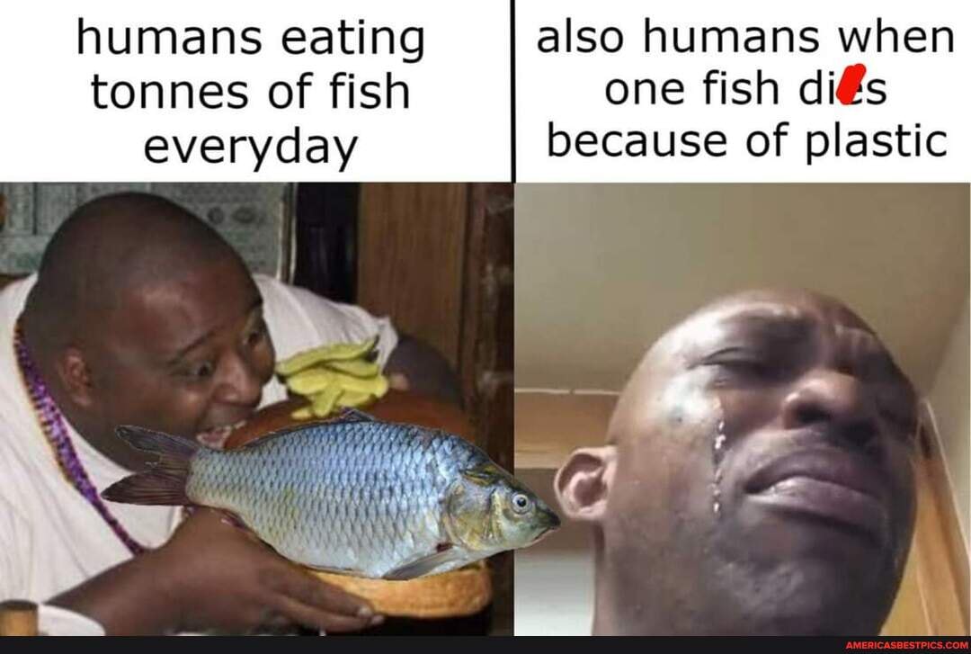 Humans eating also humans when tonnes of fish one fish diGs everyday ...