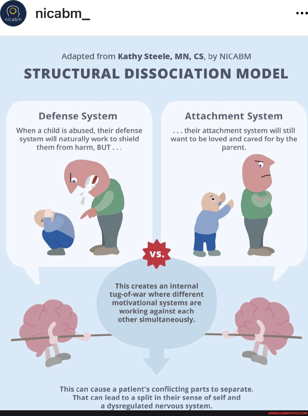 Nicabm_ Adapted from Kathy Steele, MN, CS, by NICABM STRUCTURAL ...
