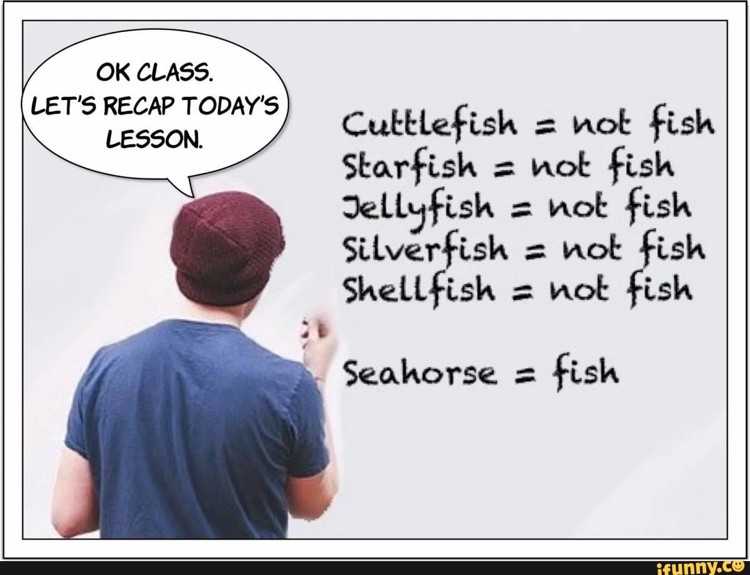 OK CLASS. LET'S RECAP TODAY'S LESSON. Cuttlefish = not fish Starfish ...