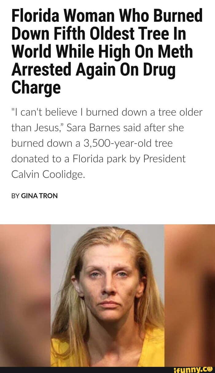 Florida Woman Who Burned Down Fifth Oldest Tree In World While High On ...