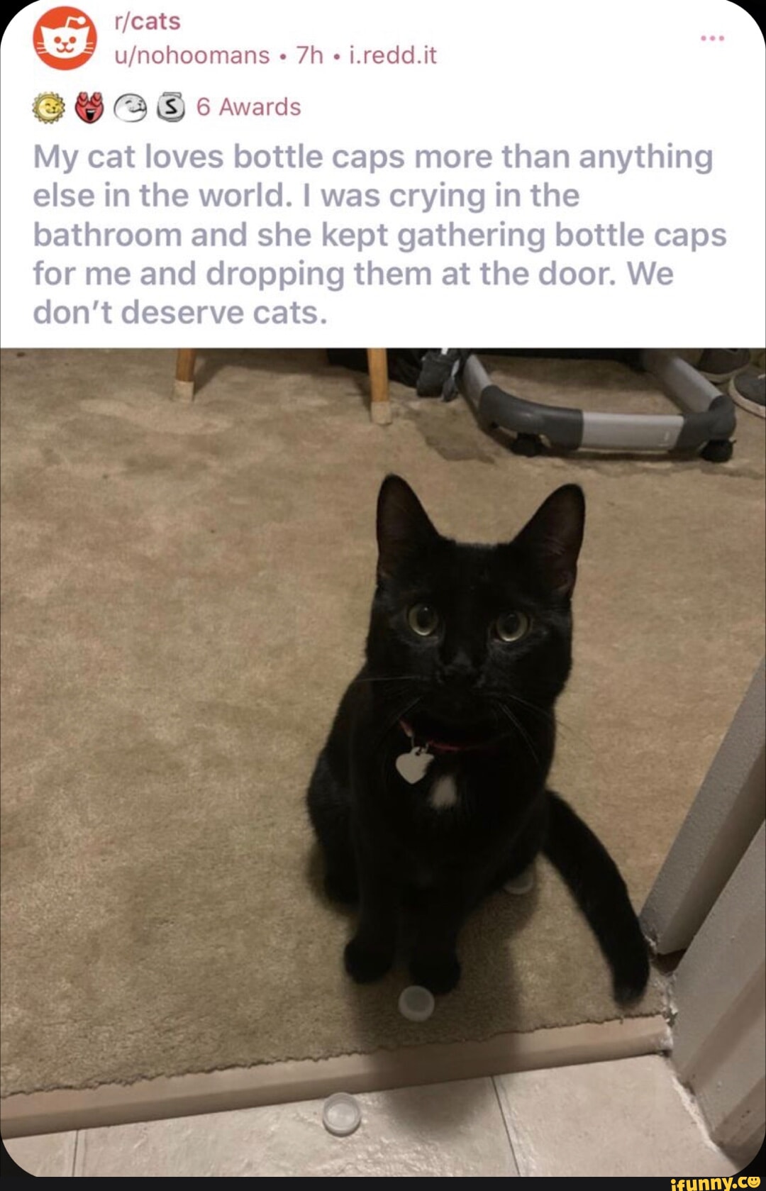 I.redd.it r.cats (S) Awards My cat loves bottle caps more than anything ...
