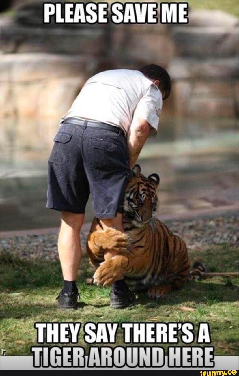PLEASE SAVE ME THEY SAY THERE'S A TIGER AROUND, HERE - iFunny