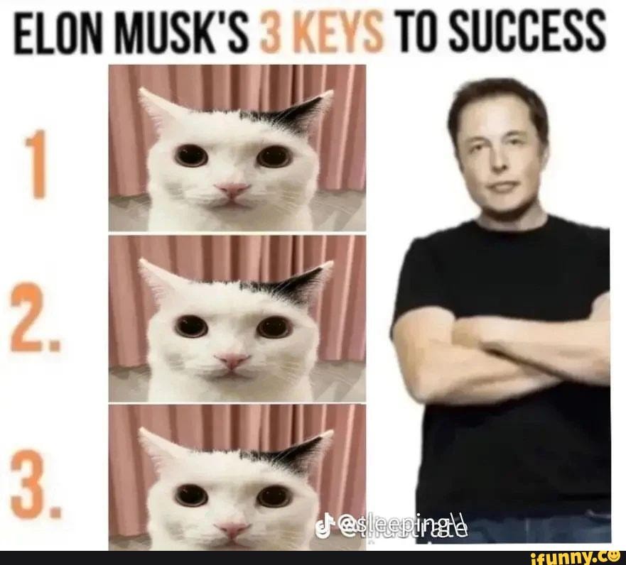 ELON MUSK'S TO SUCCESS - iFunny