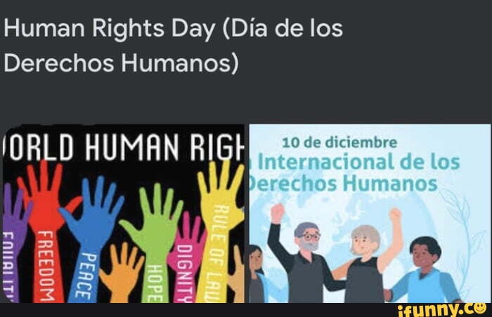 Universal_declaration_of_human_rights memes. Best Collection of funny ...