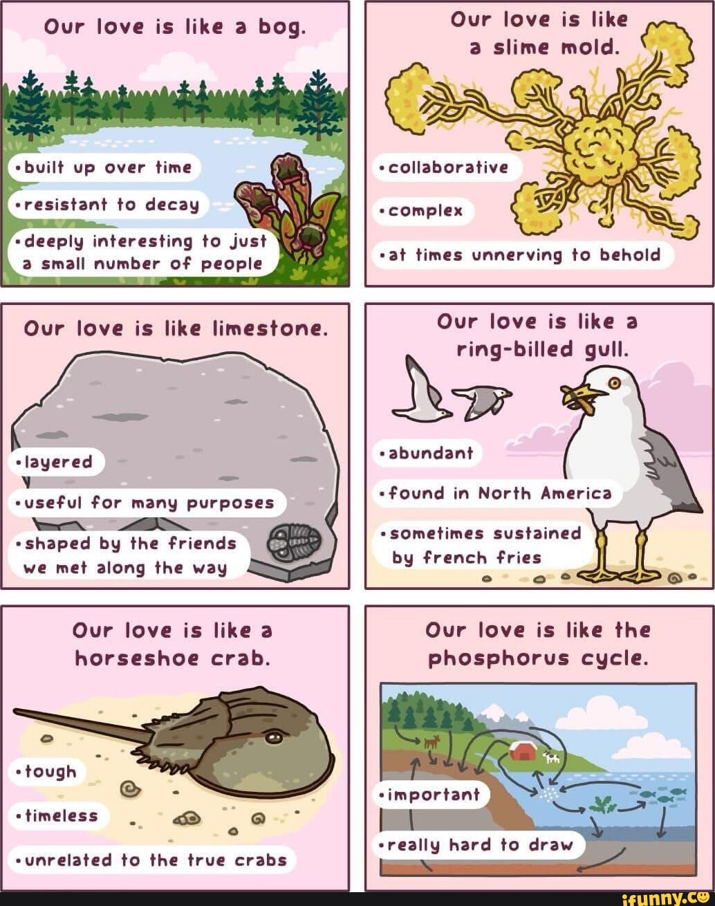 Our love is like a bog. up over resistant to decay deeply interesting ...