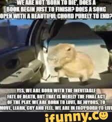 Kee memes. Best Collection of funny Kee pictures on iFunny