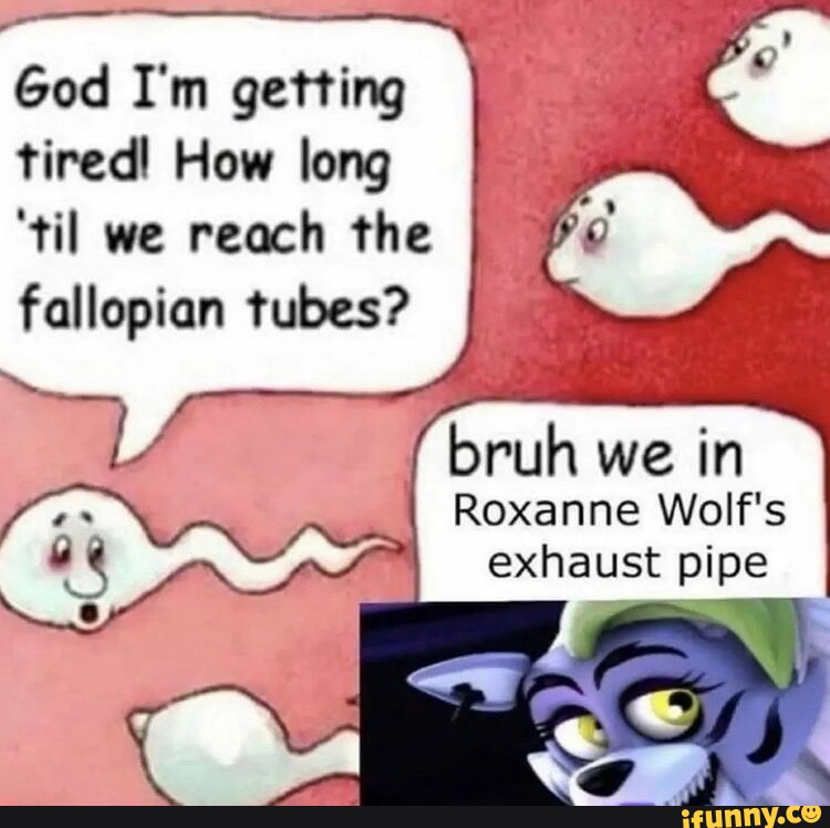 Roxanne memes. Best Collection of funny Roxanne pictures on iFunny