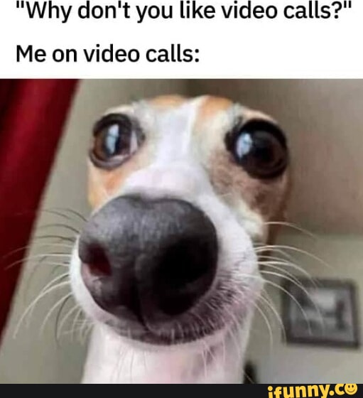 Facetiming memes. Best Collection of funny Facetiming pictures on iFunny