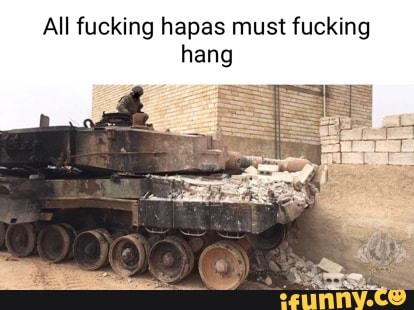 Hapas memes. Best Collection of funny Hapas pictures on iFunny