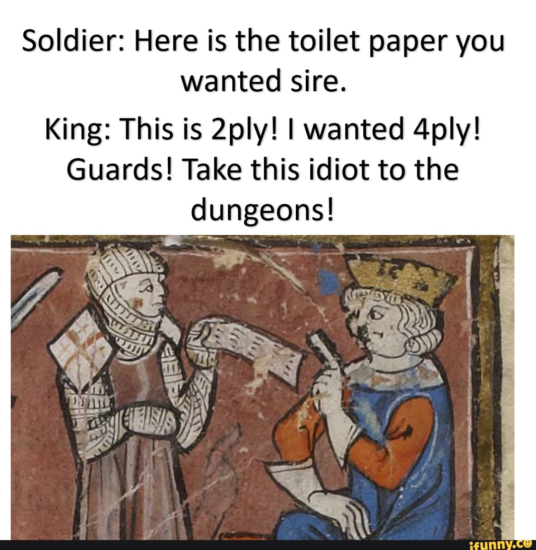 Soldier: Here is the toilet paper you wanted sire. King: This is 2ply ...