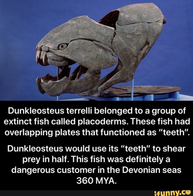 Dunkleosteus terrelli belonged to a group of extinct fish called ...