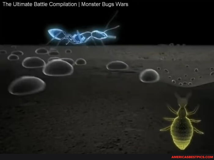 The Ultimate Battle Compilation I Monster Bugs Wars - America’s best pics and videos