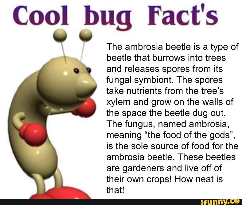 Xylem memes. Best Collection of funny Xylem pictures on iFunny