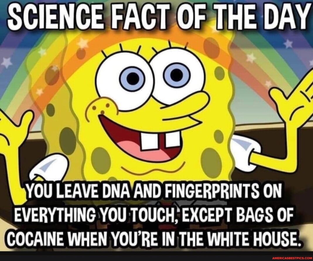 SCIENCE FACT OF THE DAY YOU LEAVE DNA AND FINGERPRINTS ON EVERYTHING ...
