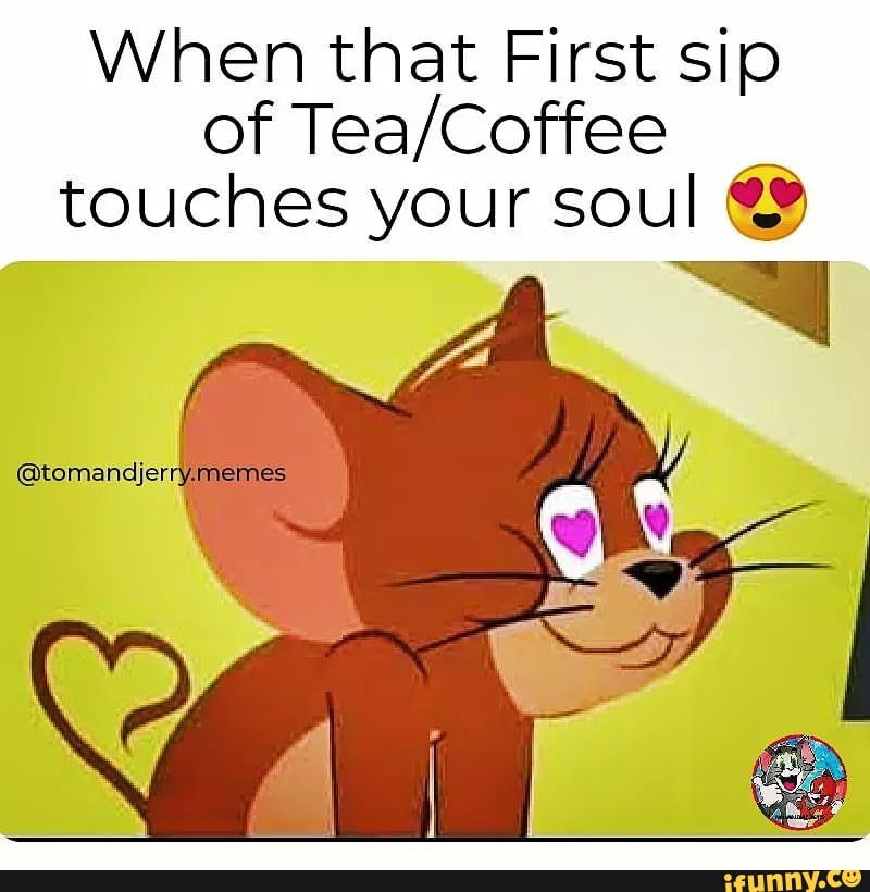 When that First sip of touches your soul @tomandjerry.memes - iFunny