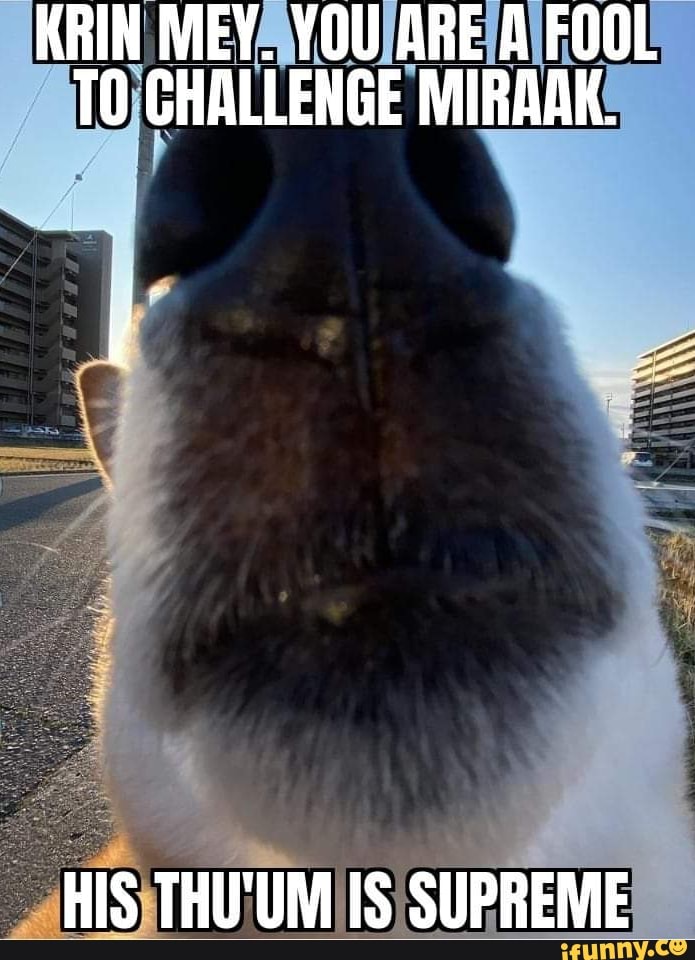 Krin memes. Best Collection of funny Krin pictures on iFunny