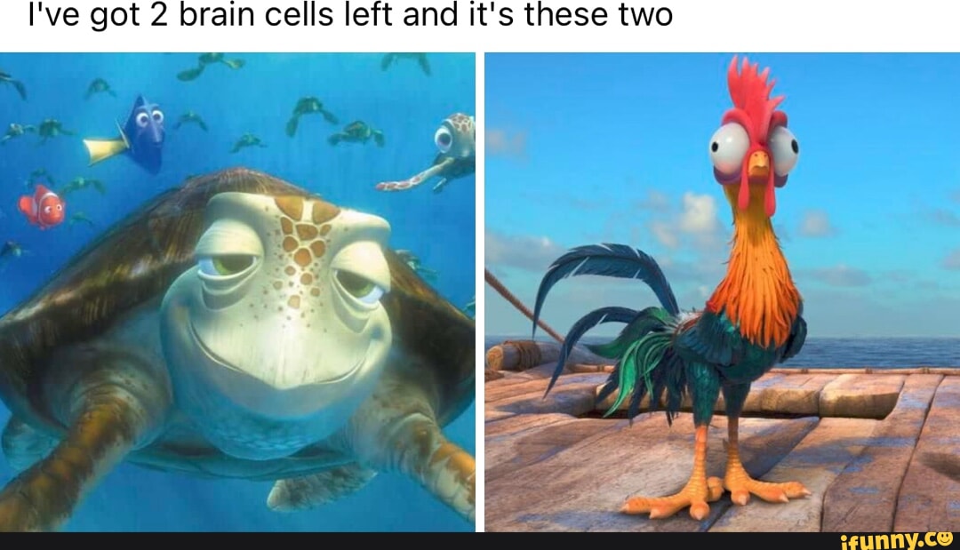 Cells memes. Best Collection of funny Cells pictures on iFunny