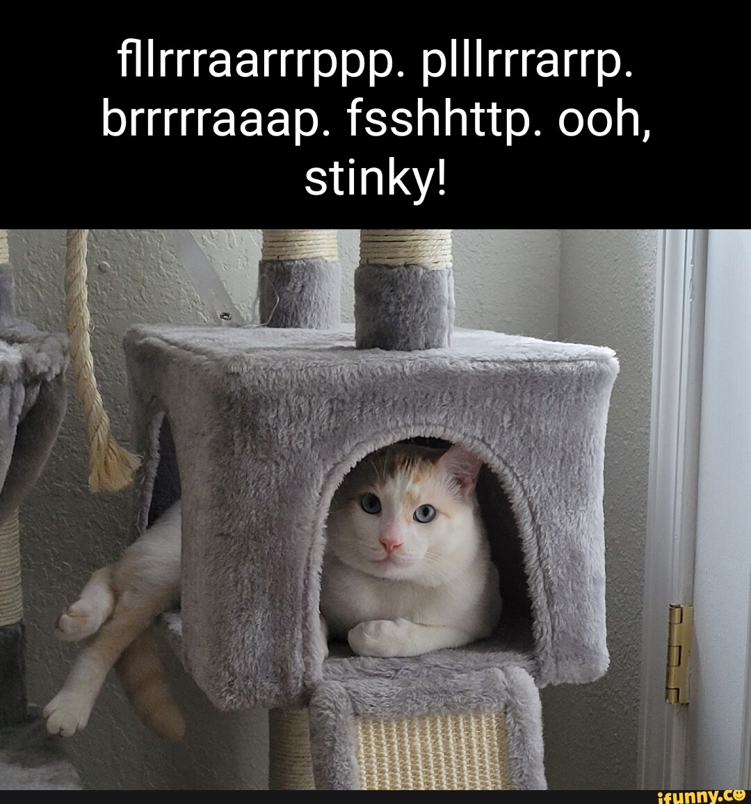 Fllrrraarrrppp. plllrrrarrp. brrrrraaap. fsshhttp. ooh, stinky! - iFunny