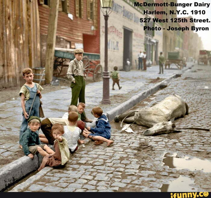 Gilded_age memes. Best Collection of funny Gilded_age pictures on iFunny