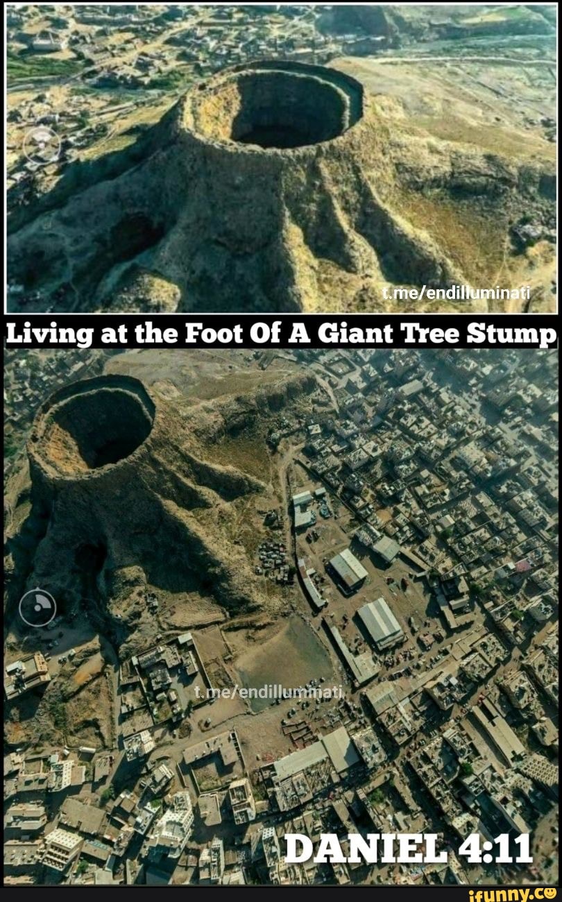 Living at the Foot Of A Giant Tree Stump DANIEL - iFunny