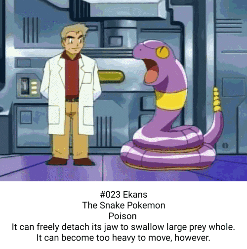 #023 Ekans The Snake Pokemon Poison It can freely detach its jaw to ...