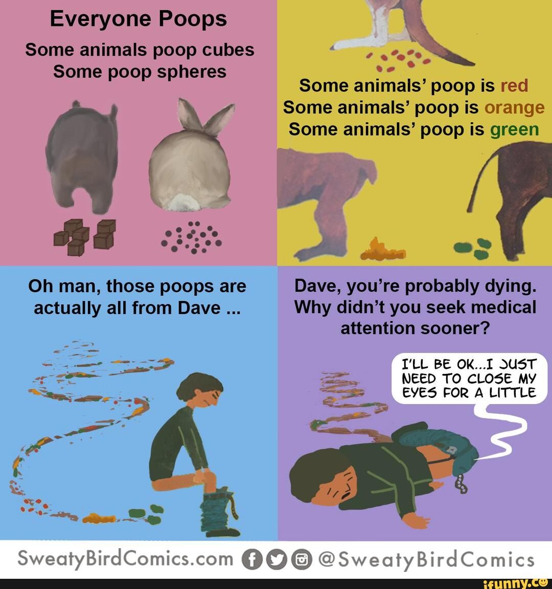 Everyone Poops Some animals poop cubes Some poop spheres te Some ...