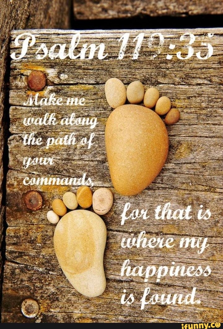 Poatin memes. Best Collection of funny Poatin pictures on iFunny