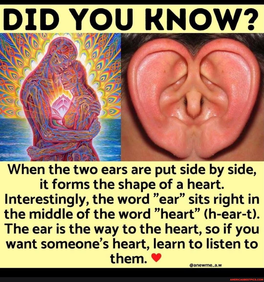 DID YOU KNOW? When the two ears are put side by side, it forms the ...