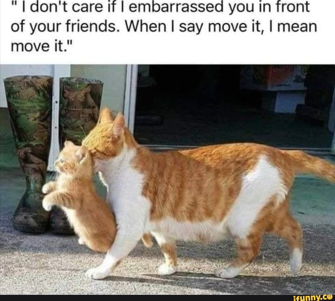 Embarrassed memes. Best Collection of funny Embarrassed pictures on iFunny