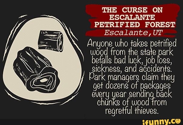 THE CURSE ON ESCALANTE PETRIFIED FOREST Escalante, UT Angone whofakeg ...