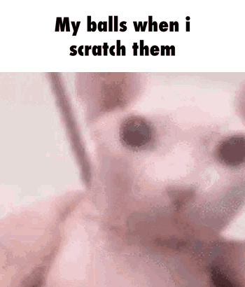 My balls when i scratch them - iFunny