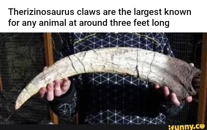 Therizinosaurus claws are the largest known for any animal at around ...
