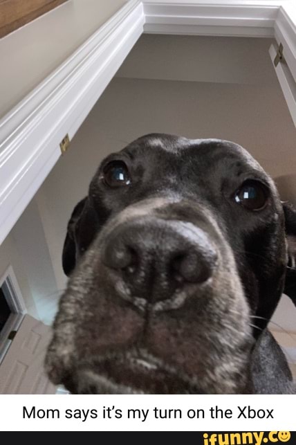 Mom says it's my turn on the Xbox - iFunny