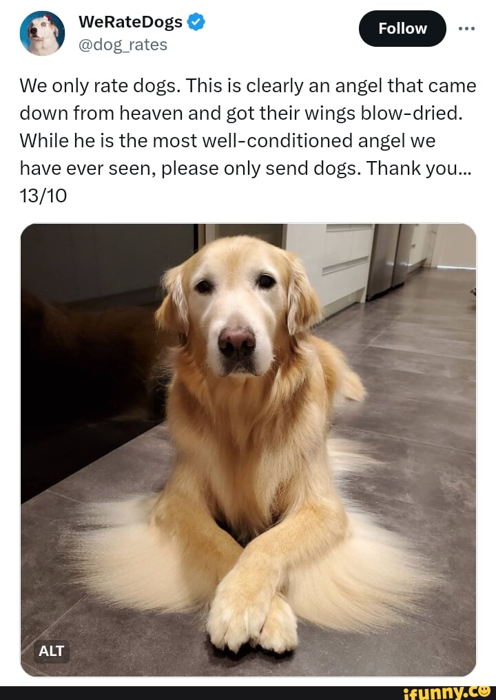 Video memes nBKTmyo7B by DesolationGirl - iFunny