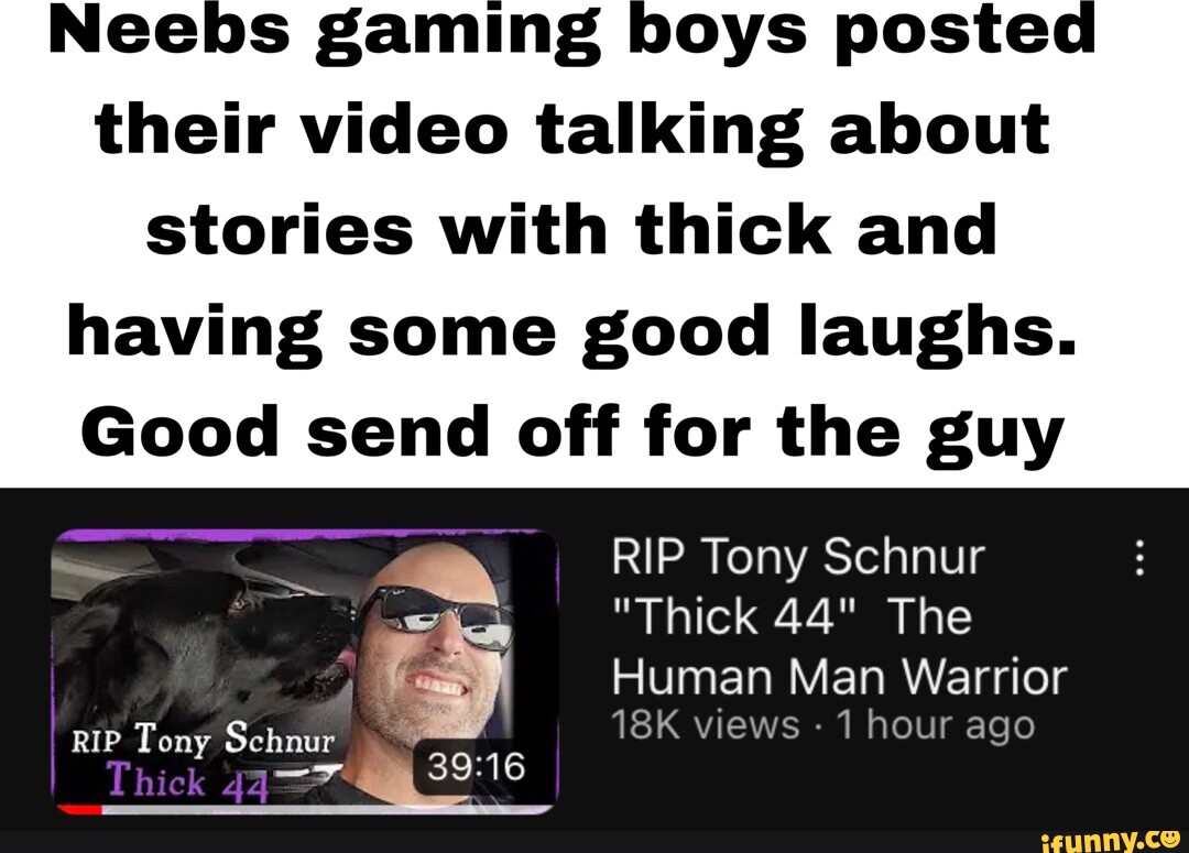 Thick44 memes. Best Collection of funny Thick44 pictures on iFunny