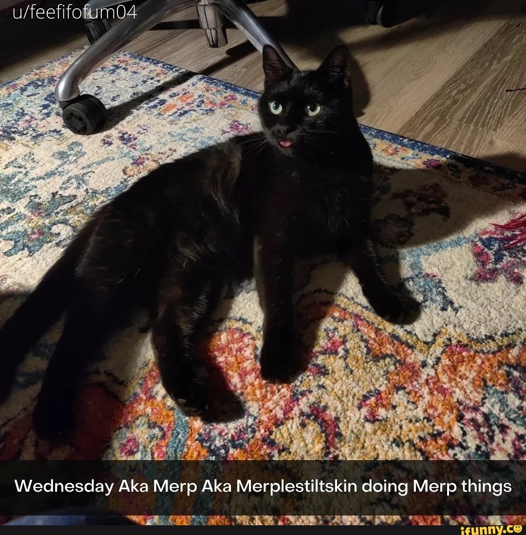 Wednesday Aka Merp Aka Merplestiltskin doing Merp things - iFunny