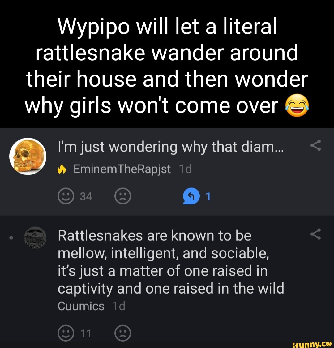 Rattlesnakes memes. Best Collection of funny Rattlesnakes pictures on ...