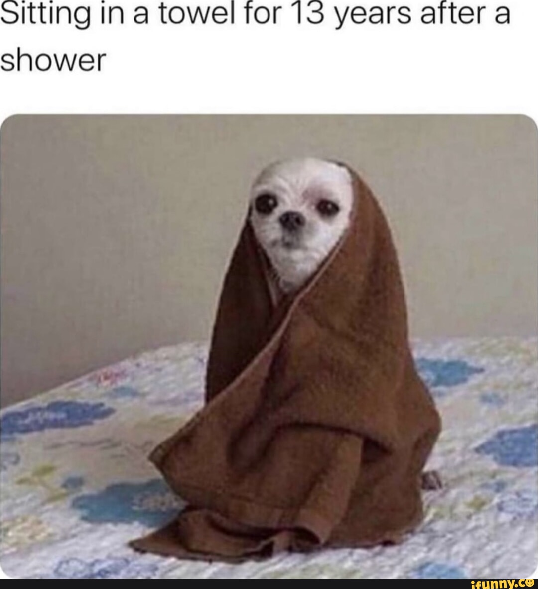 Towel memes. Best Collection of funny Towel pictures on iFunny