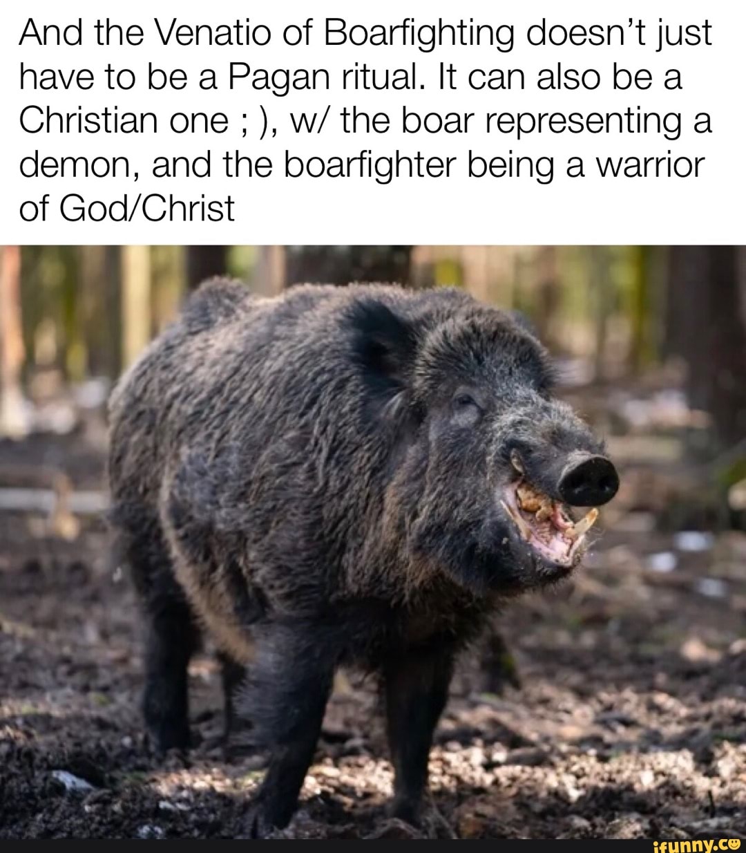 Boarfighting memes. Best Collection of funny Boarfighting pictures on ...