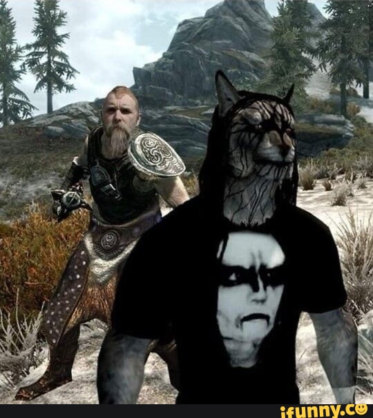 Elderscrolls memes. Best Collection of funny Elderscrolls pictures on ...