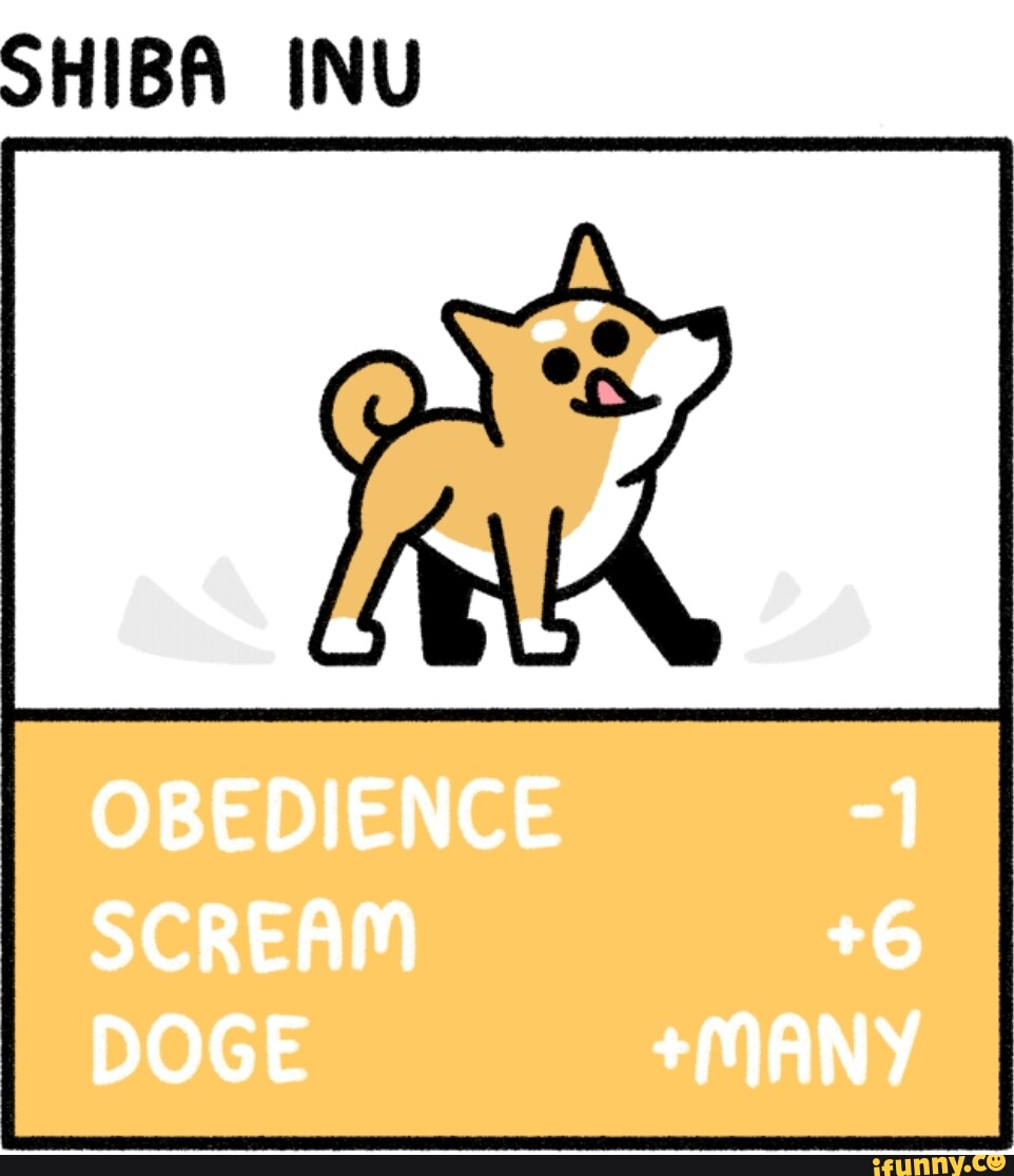 SHIBA INU OBEDIENCE SCREAM +6 DOGE +MANY - iFunny