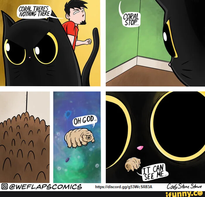 Yaela Heart on Instagram - iFunny