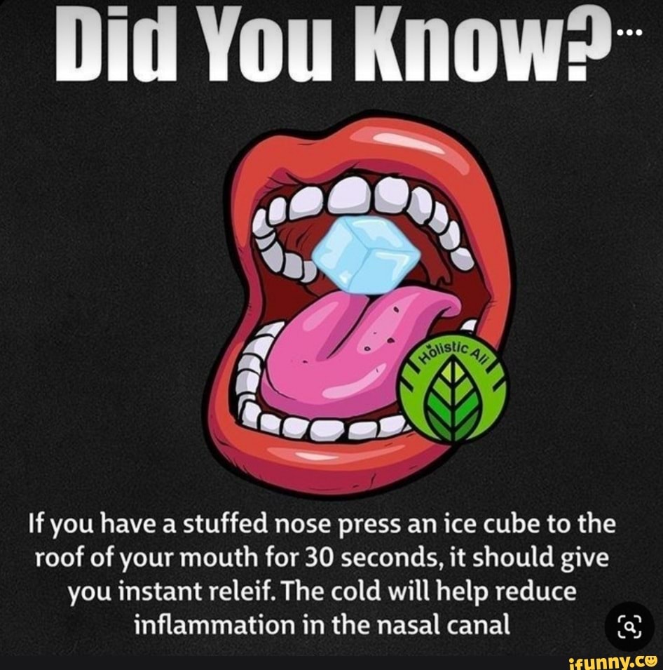 Releif memes. Best Collection of funny Releif pictures on iFunny