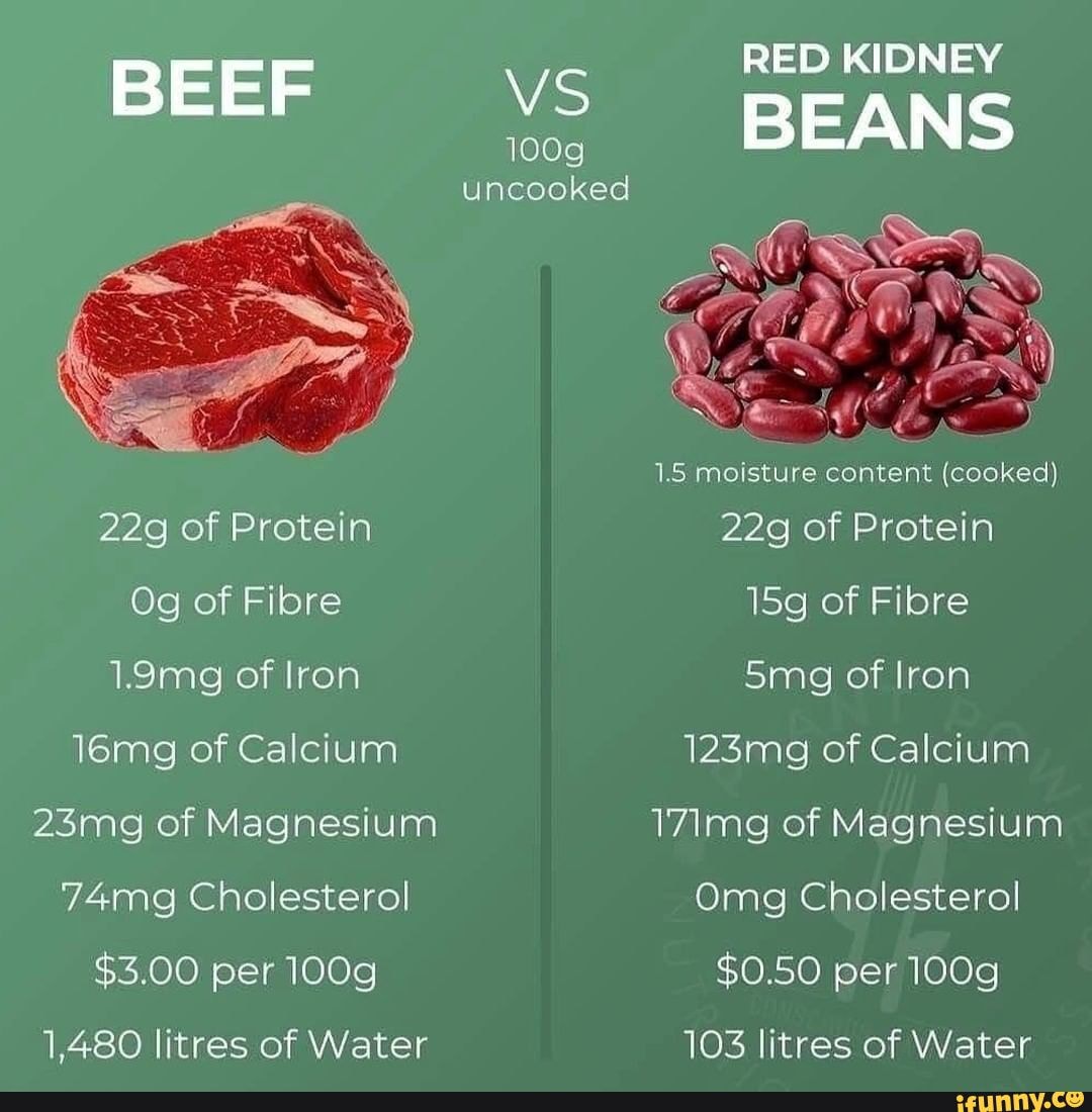 BEEF VS 100g uncooked of Protein Og of Fibre 1.9mg of Iron 16mg of ...