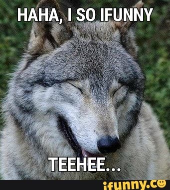 Funny Insanity Wolf Meme