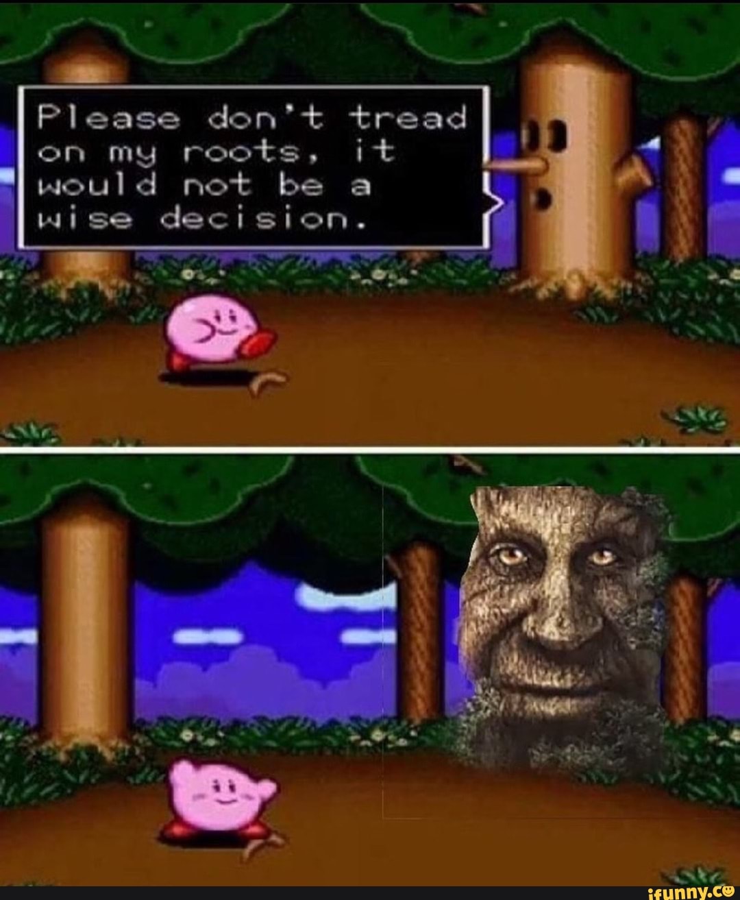 Please don't tread on my roots, it would not be a wise decision. ike ...