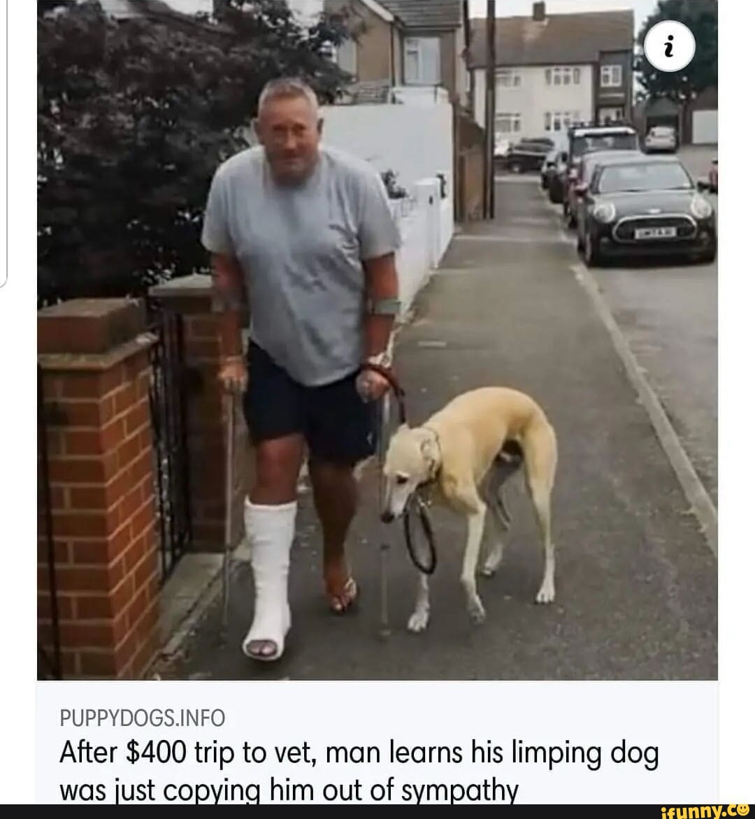 Limping memes. Best Collection of funny Limping pictures on iFunny