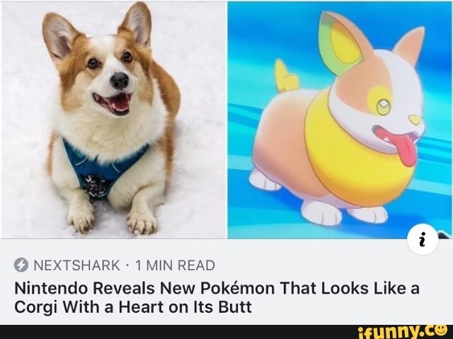 O NEXTSHARK - 1 MIN READ Nintendo Reveals New Pokémon That Looks Like a ...