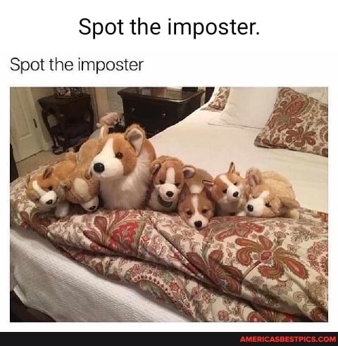 Spot the imposter. Spot the imposter - America’s best pics and videos