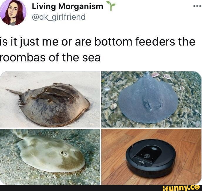 In 2012, a Burger King employee anonymously posted an image of himself ...